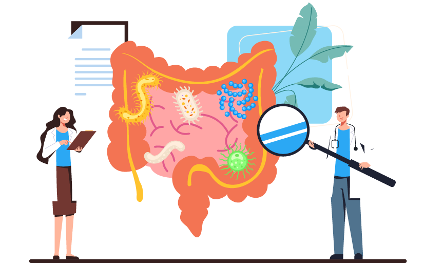 ”Gut Bugs” Rule Our Body's Biochemistry